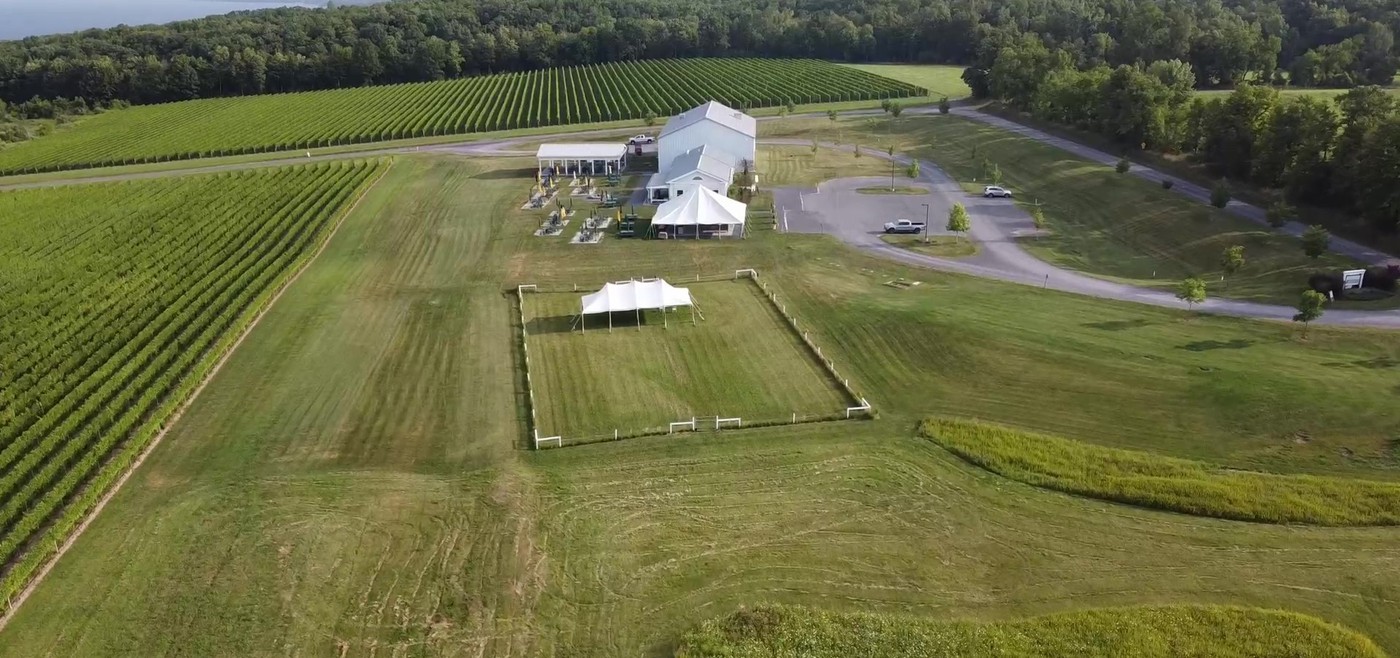 Boundary Breaks Wine